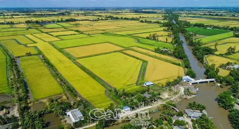 Tôn vinh 22 gương điển hình tiên tiến của tỉnh Cà Mau (2)