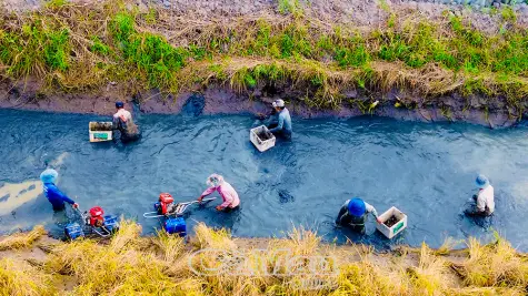 Nhân Ngày thơ Việt Nam 2015: Dáng hình đất nước trong thi ca Việt Nam
